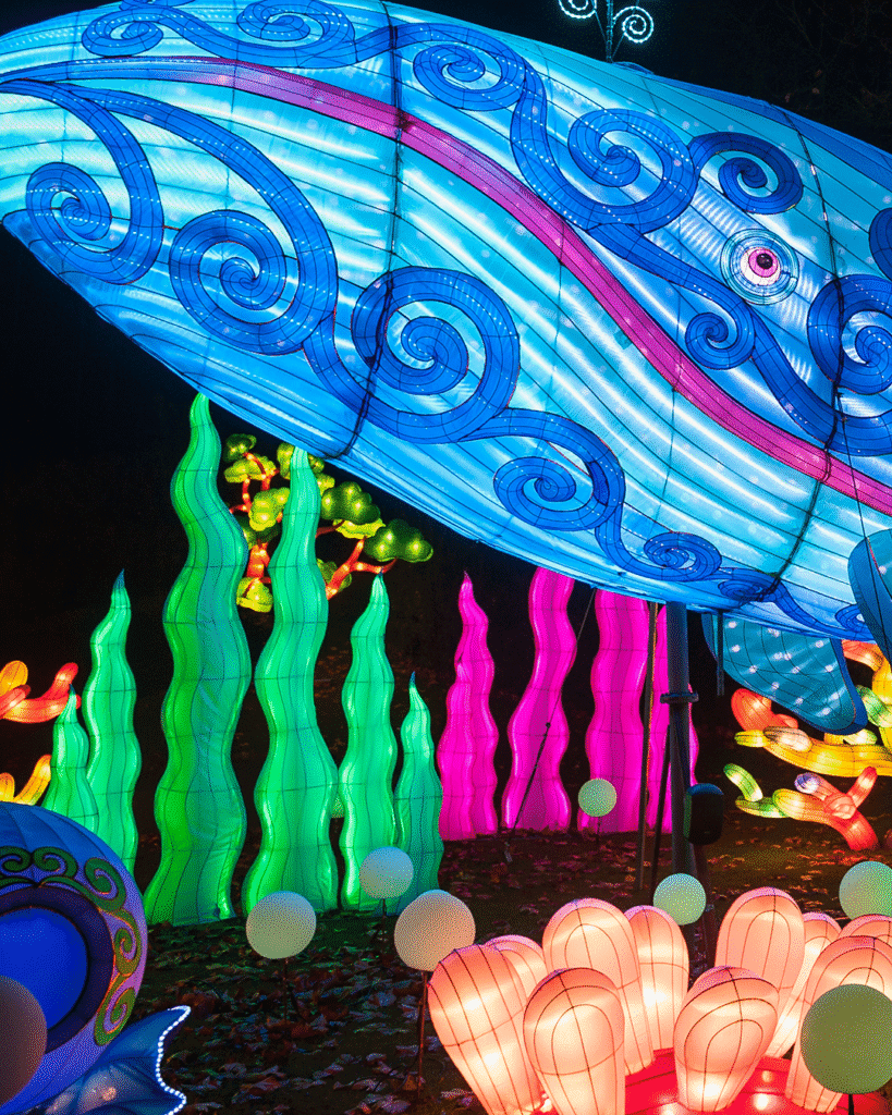 Festival de Lumières Magic Ocean - ZOO Anvers