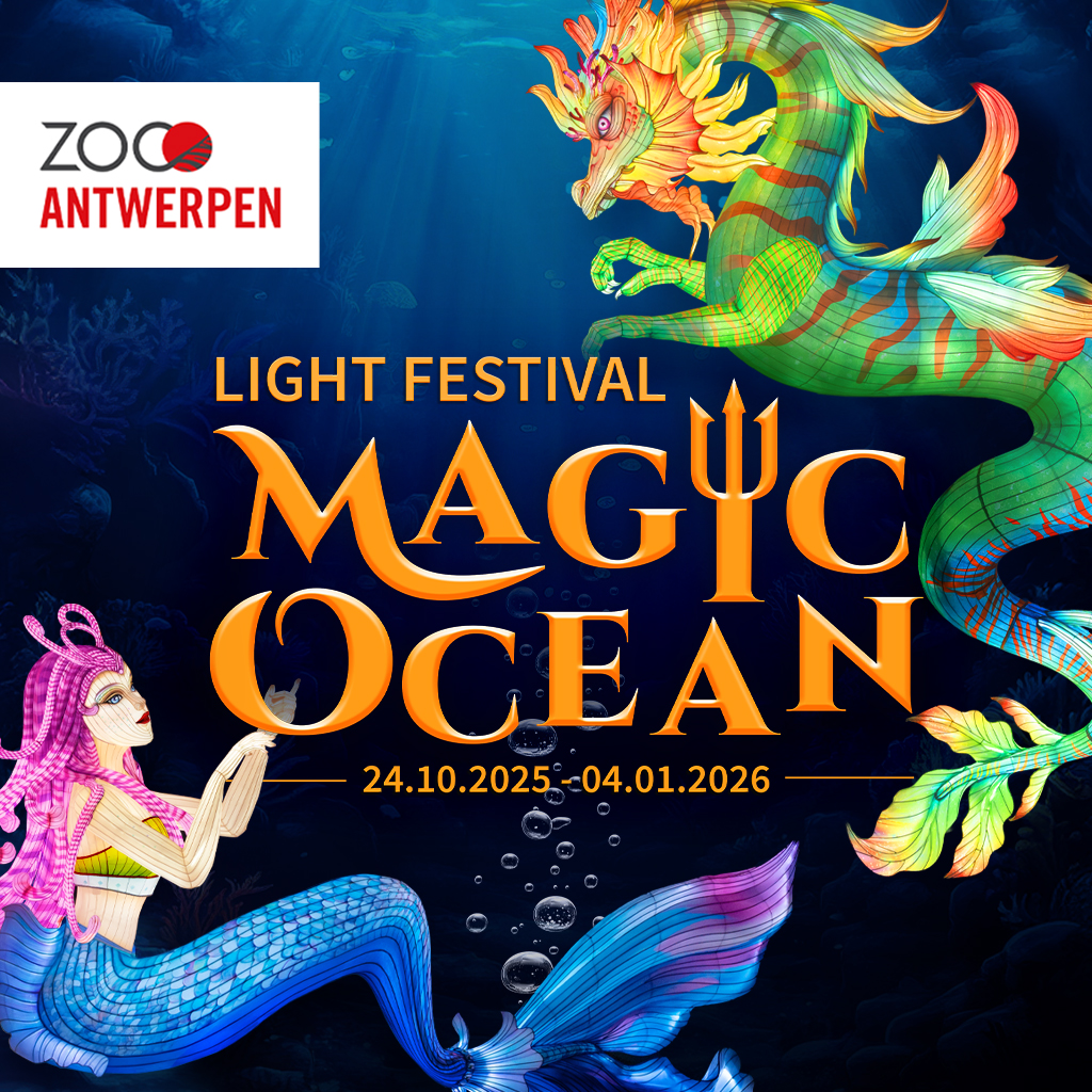 Lichtfestival Magic Ocean - ZOO Antwerpen
